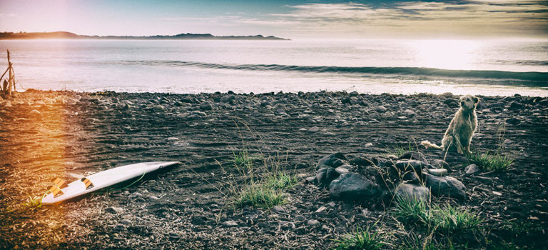 Quiksilver and Roxy Wetsuit Size Charts - Coastal Sports