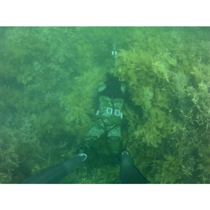 Rob Allen 5mm Scorpia Wetsuit - Coastal Sports